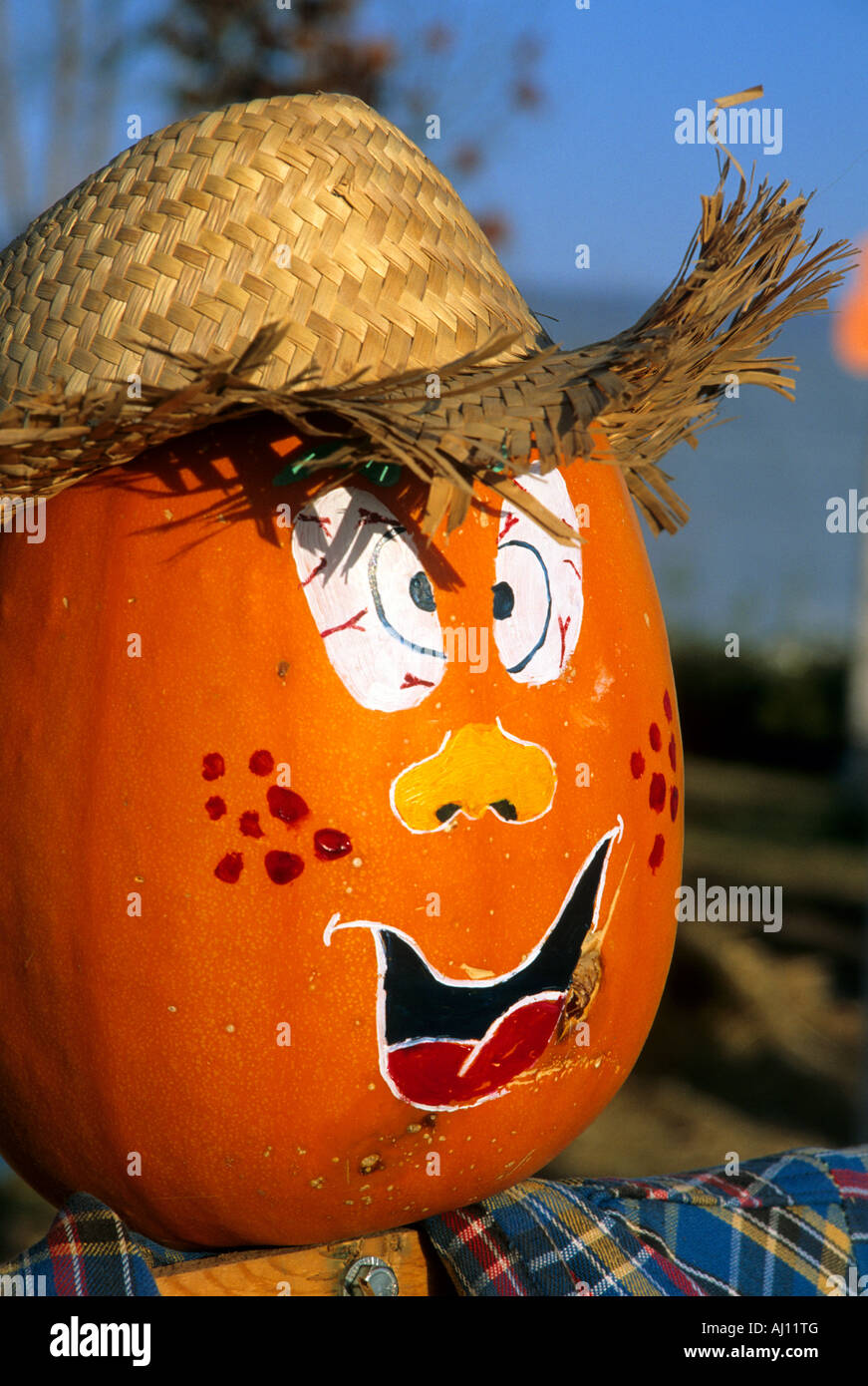 CONTESTANT IN SCARECROW CONTEST IN MINNESOTA INCLUDES A DECORATED ...