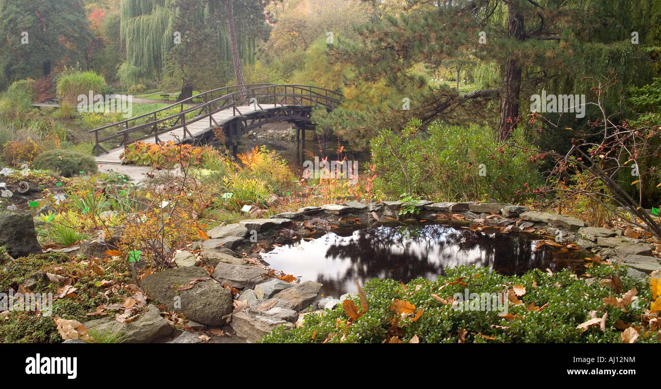 Botanical Garden in autumn Wroclaw Poland Stock Photo - Alamy