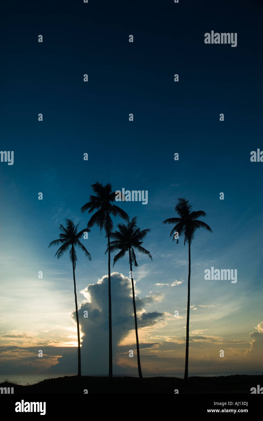 Ray sun coming out hi-res stock photography and images - Alamy