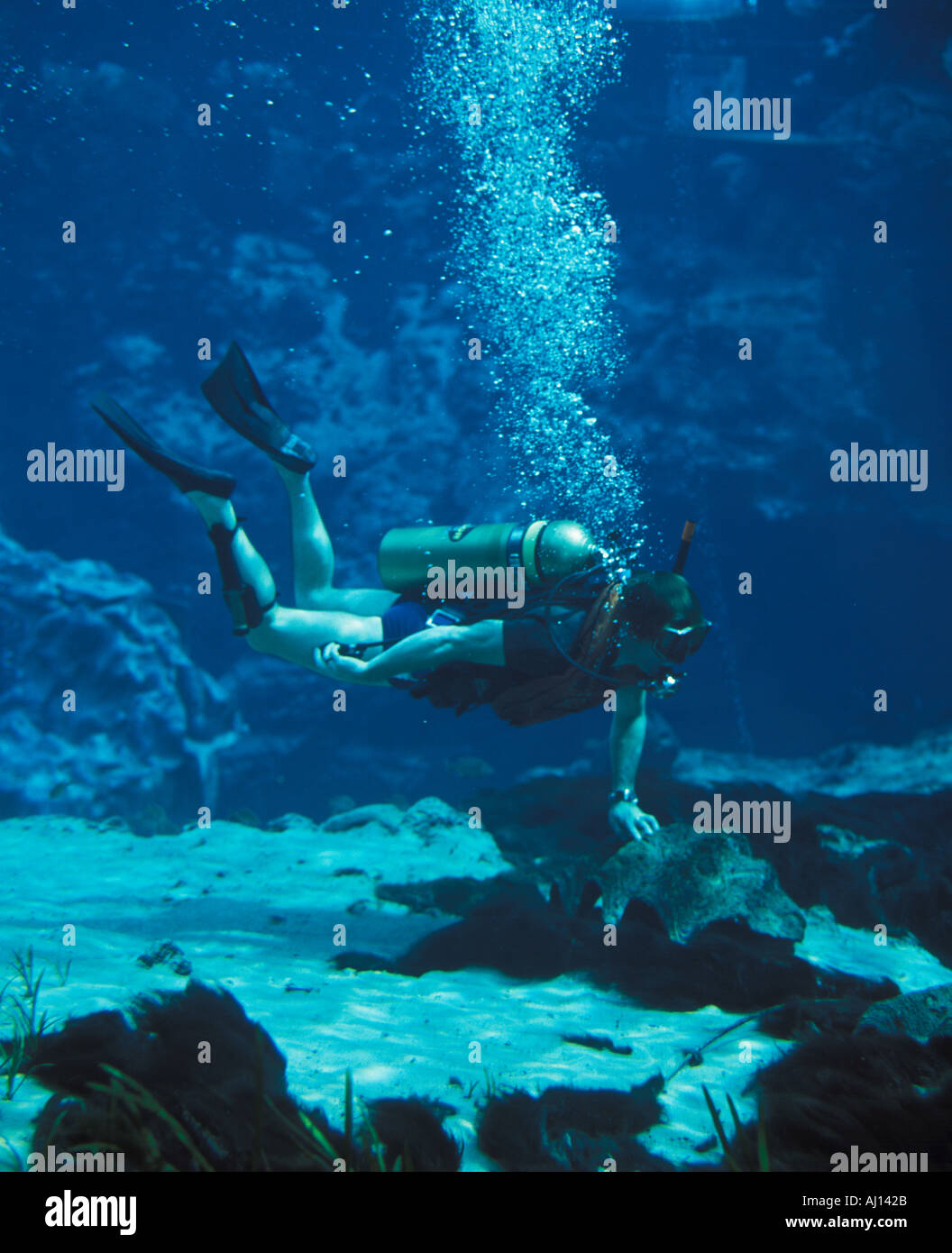 skin diver exploring ocean floor Stock Photo - Alamy