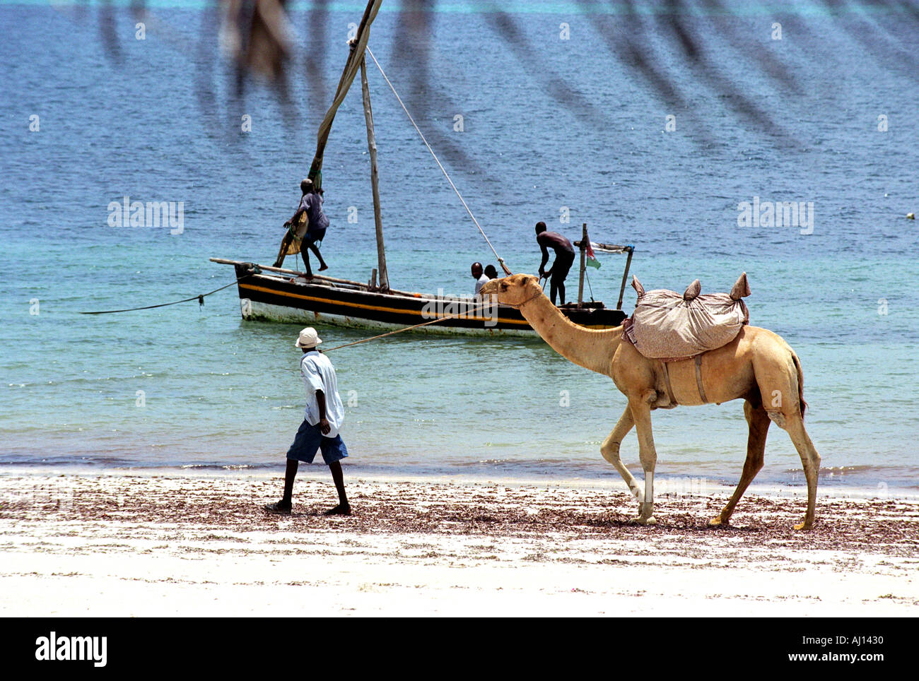 Camel boat hi-res stock photography and images - Alamy