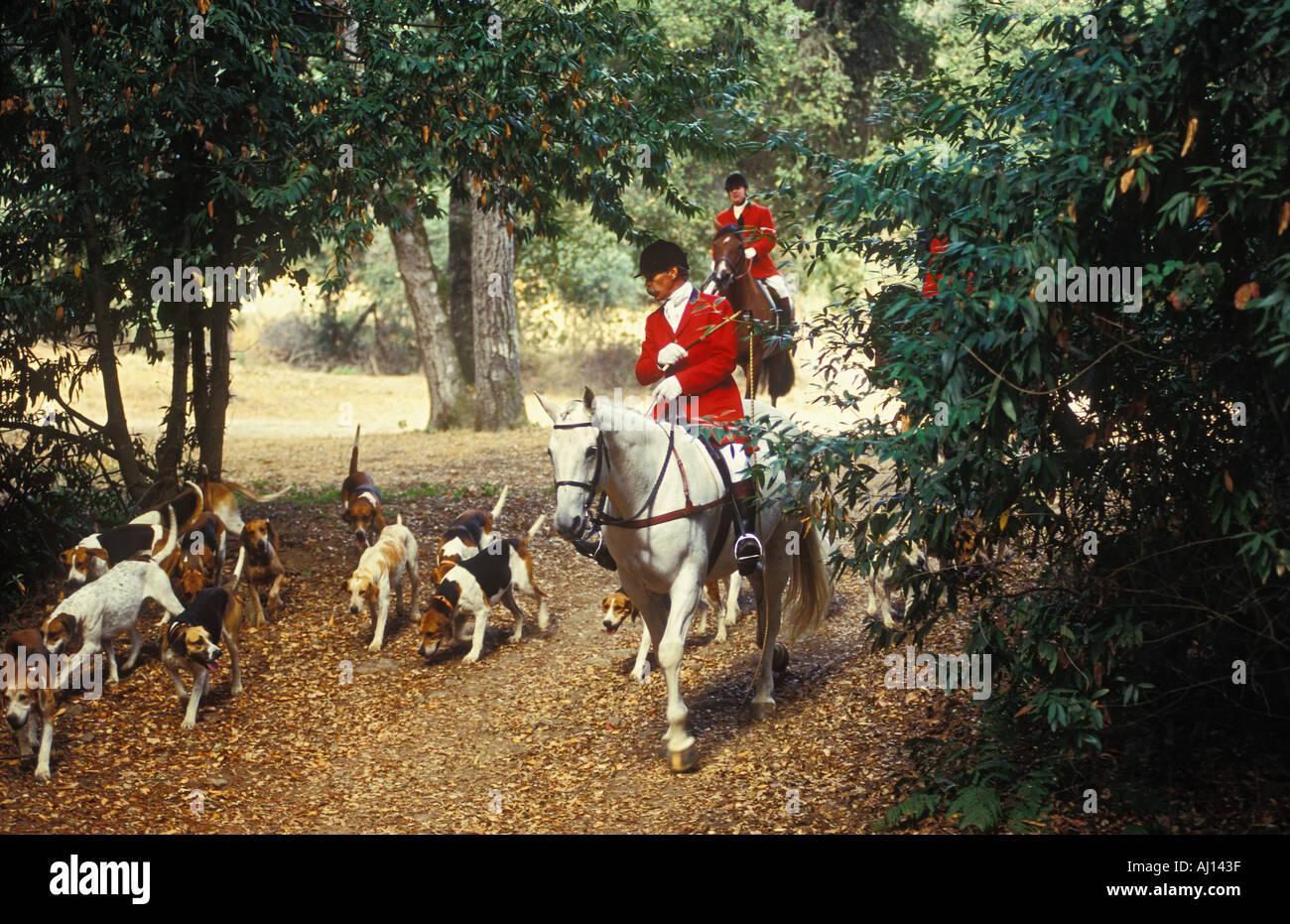 Tracditional hi-res stock photography and images - Alamy