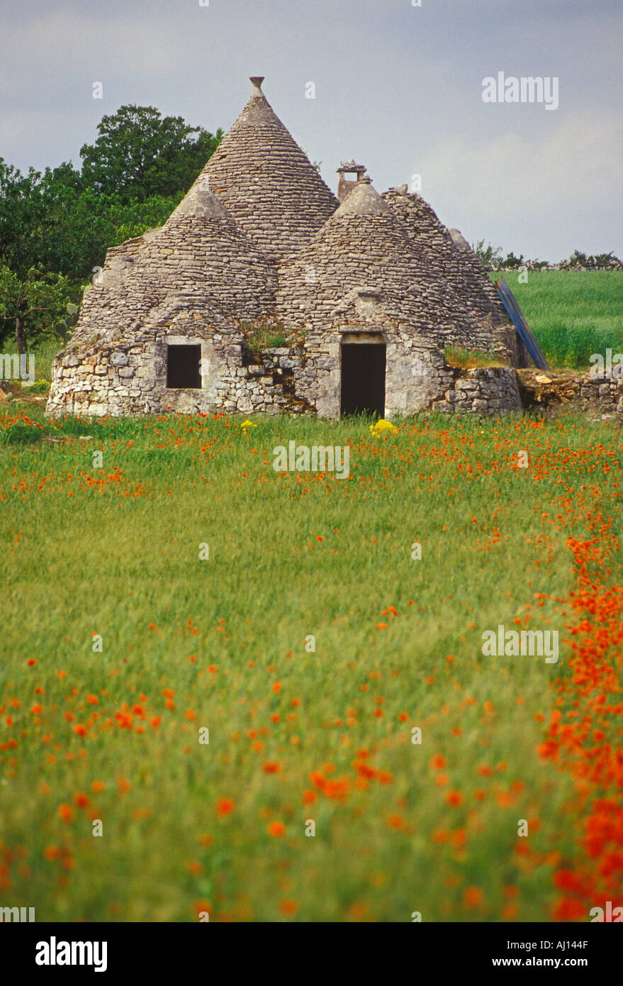 Italy Puglia Trulli Region Trulli style farm storage building Stock ...
