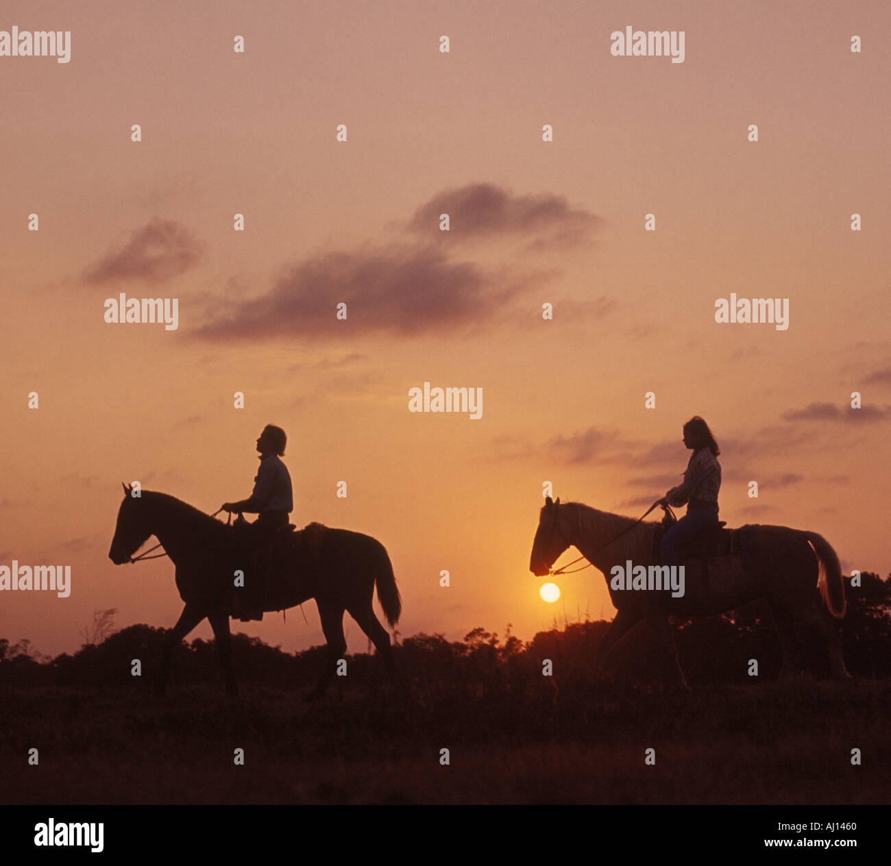 Couple riding horses sunset hi-res stock photography and images - Alamy
