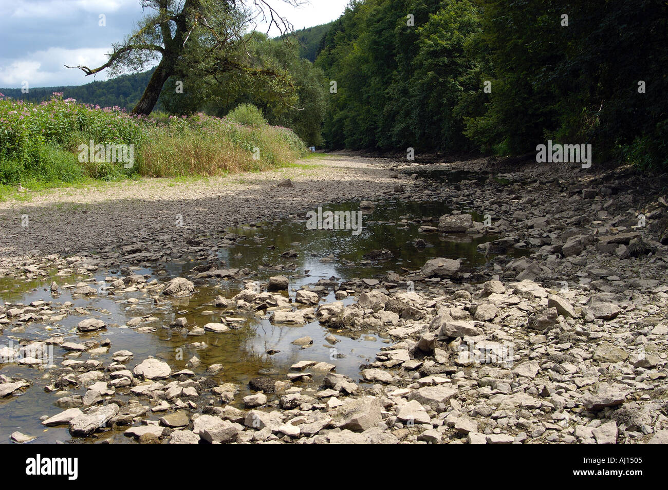 River infiltration hi-res stock photography and images - Alamy
