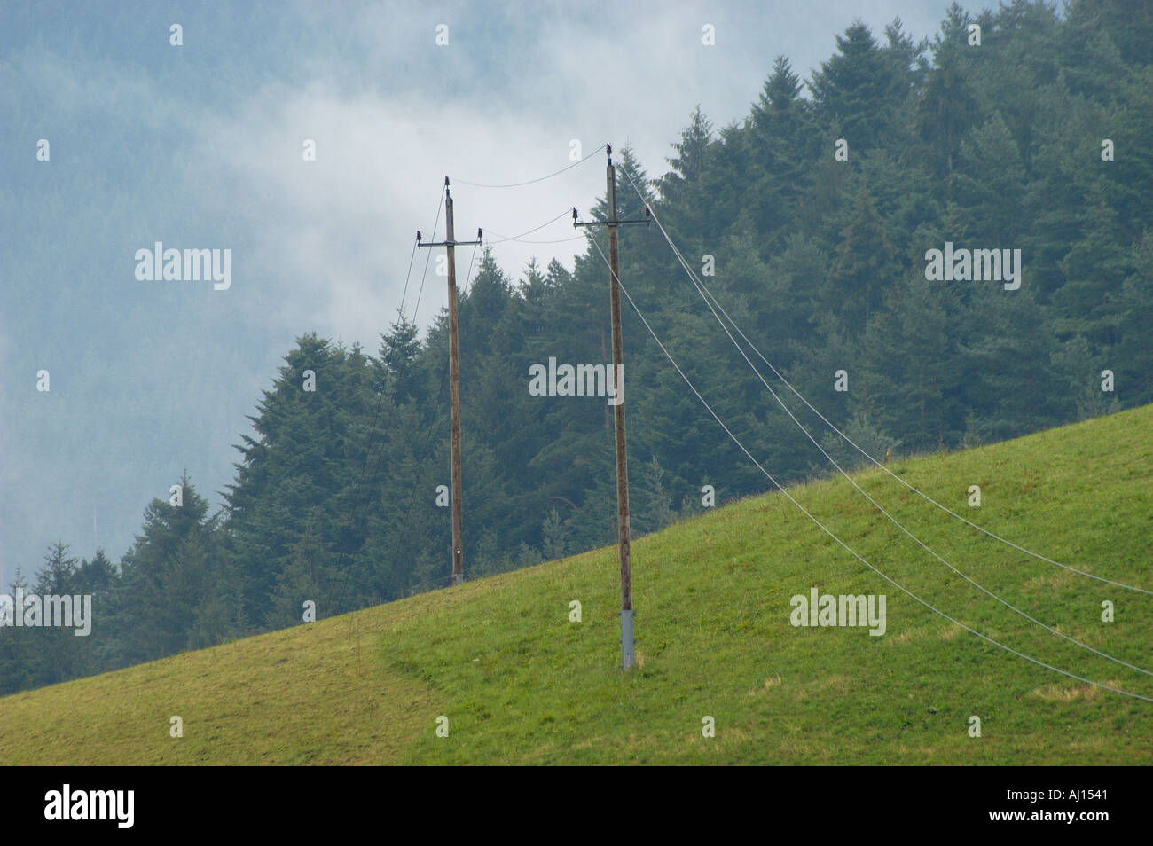 Small side valley in the middle Black Forest Stock Photo - Alamy