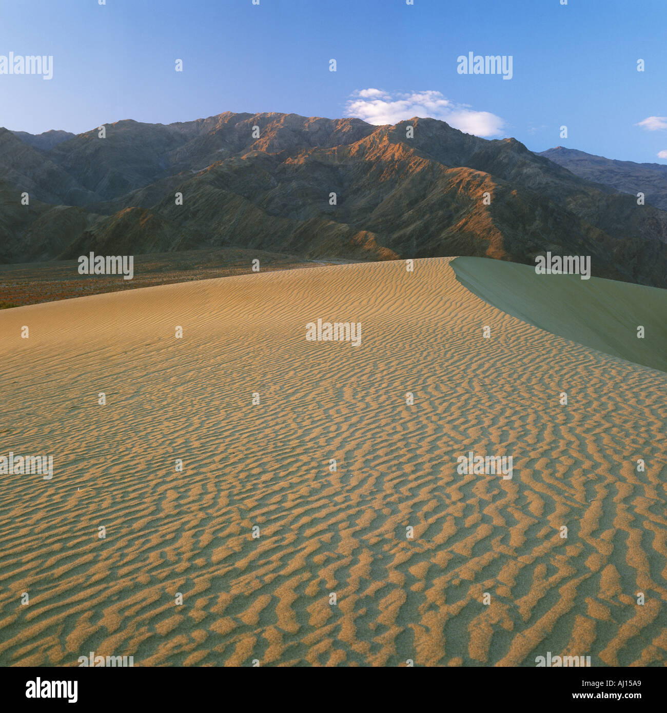 California sand grains hi-res stock photography and images - Alamy