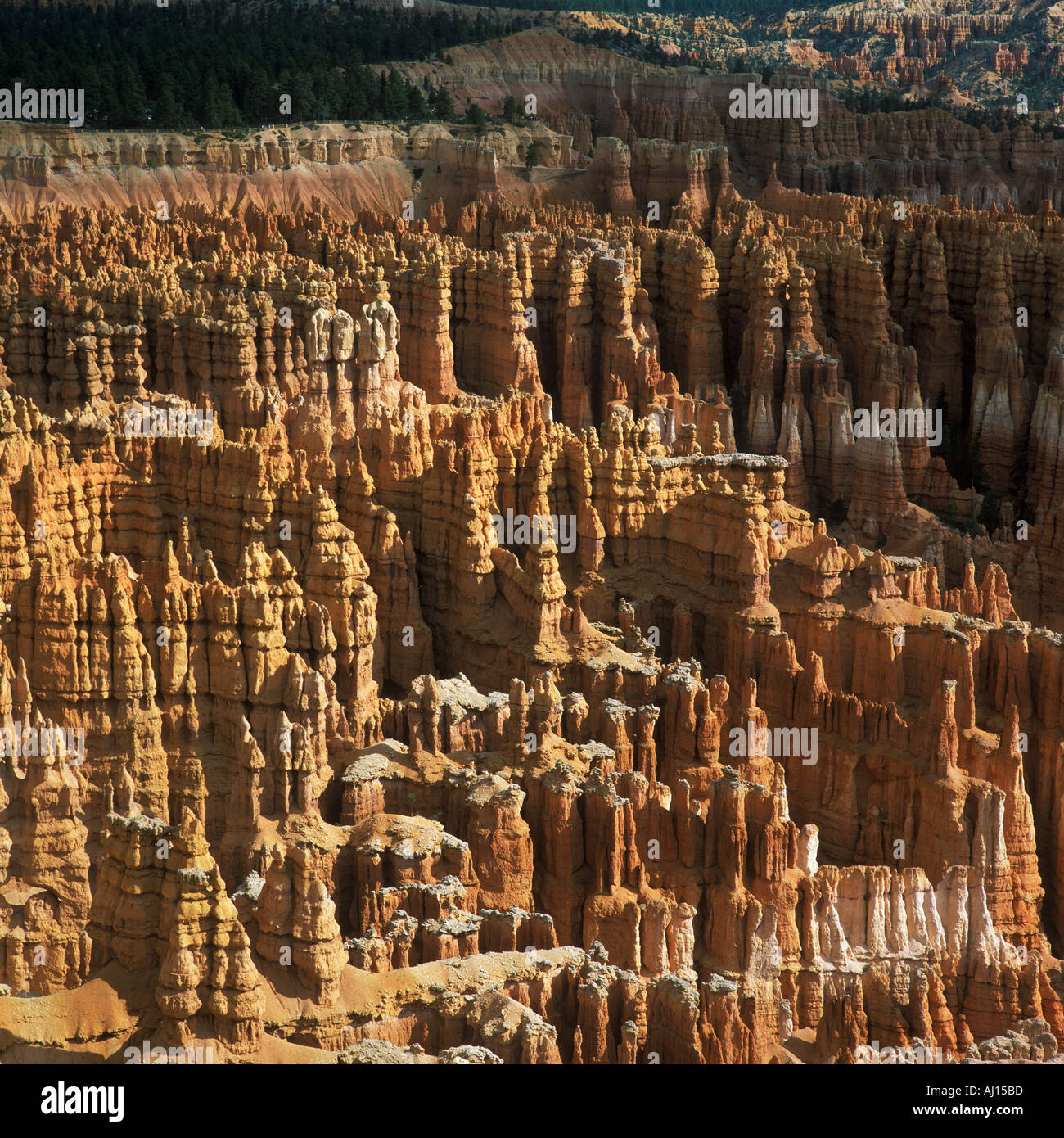 Inspiration Point Bryce Canyon National Park Utah USA Stock Photo - Alamy
