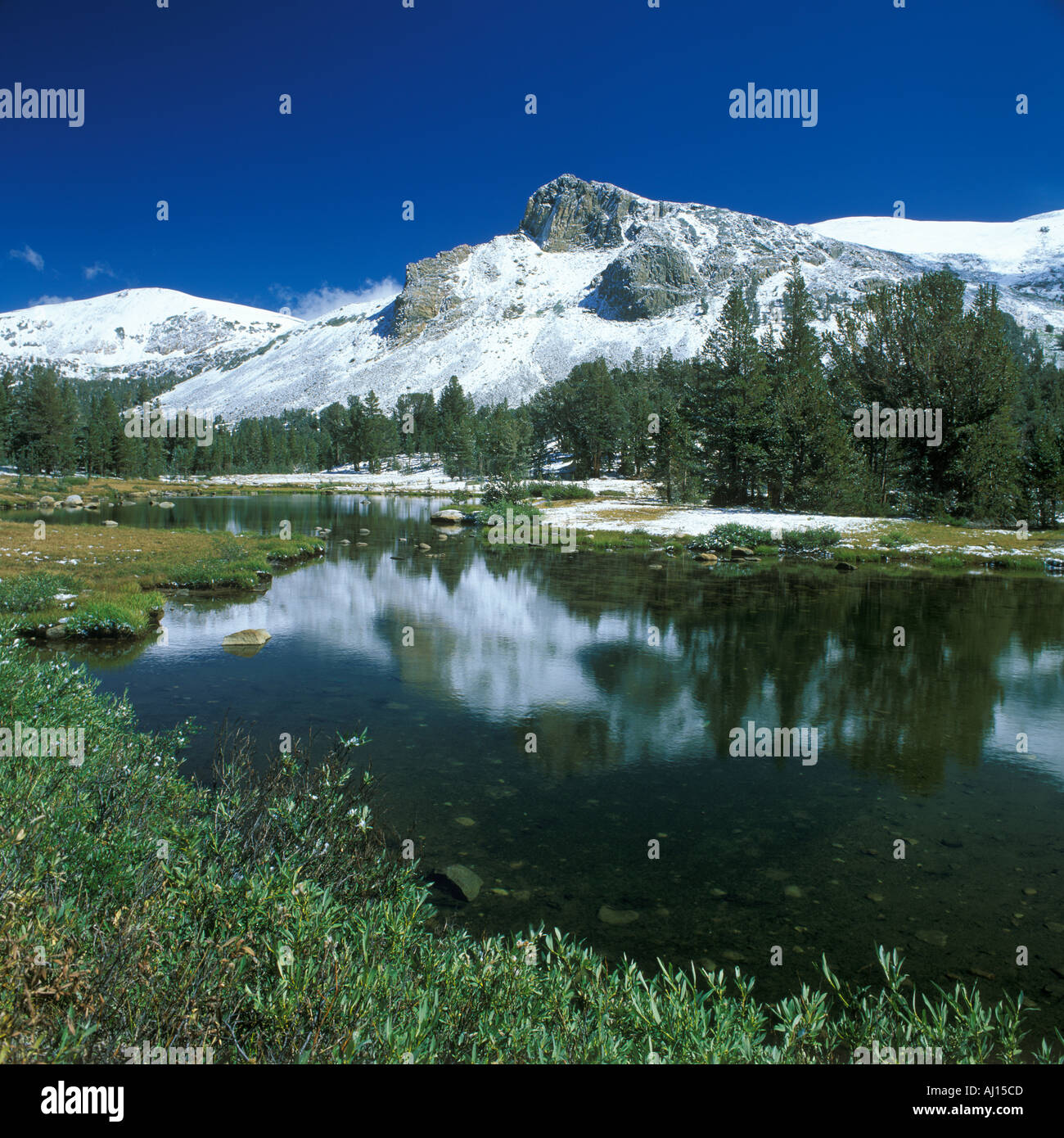 Toiga pass hi-res stock photography and images - Alamy