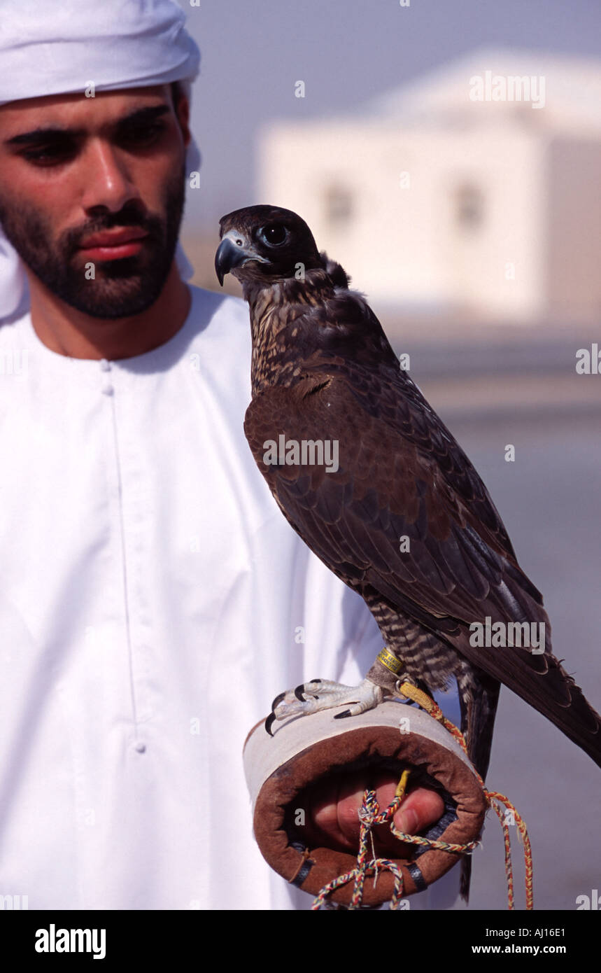 Arab and his Falcon Stock Photo - Alamy
