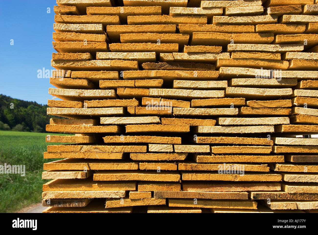 cut wood timber beam slab board plank shelf tree forest silviculture ...