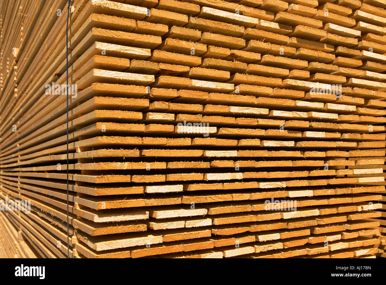 cut wood timber beam slab board plank shelf tree forest silviculture ...