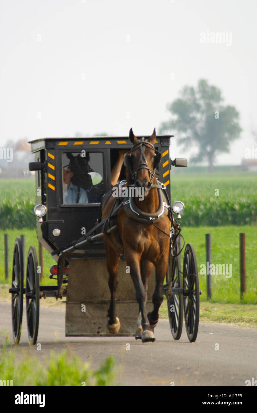 ILLINOIS Arthur Two Amish men ride in enclosed buggy pulled by horse on ...
