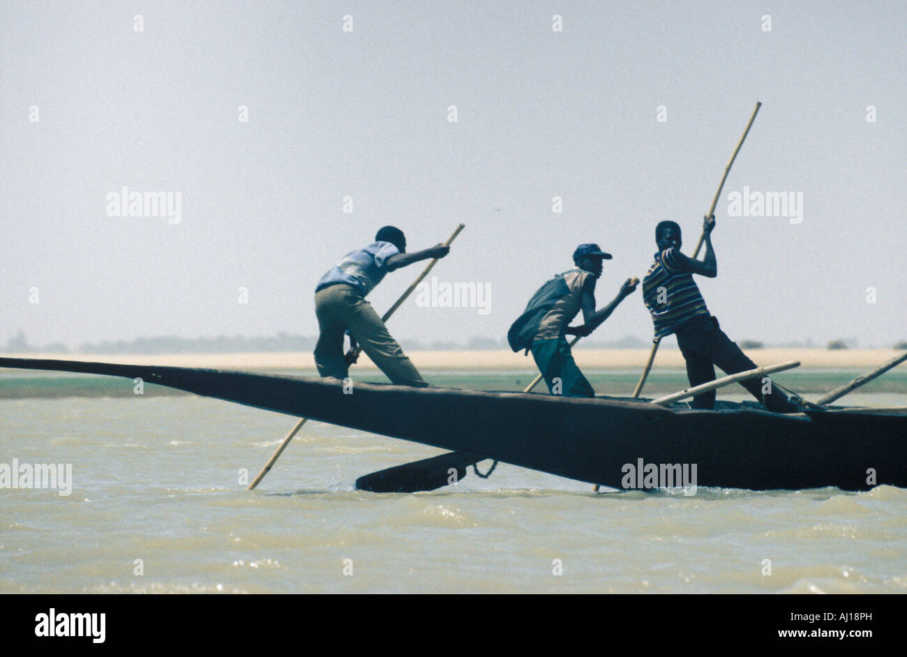 A pinasse traditional boat during the annual cattle crossing in ...