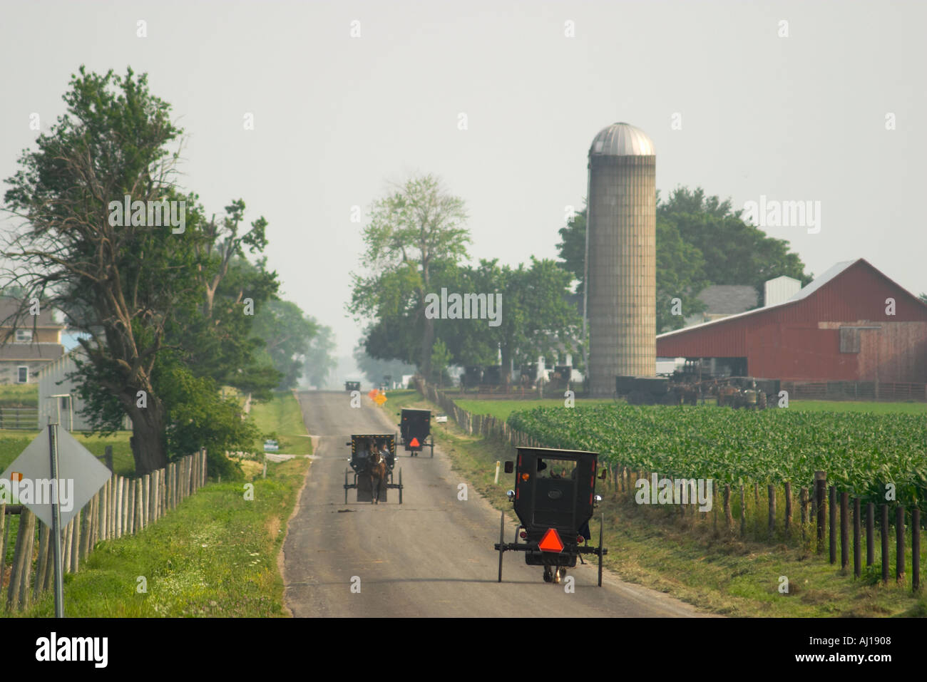 ILLINOIS Arthur Amish buggies drive along country road driving to ...