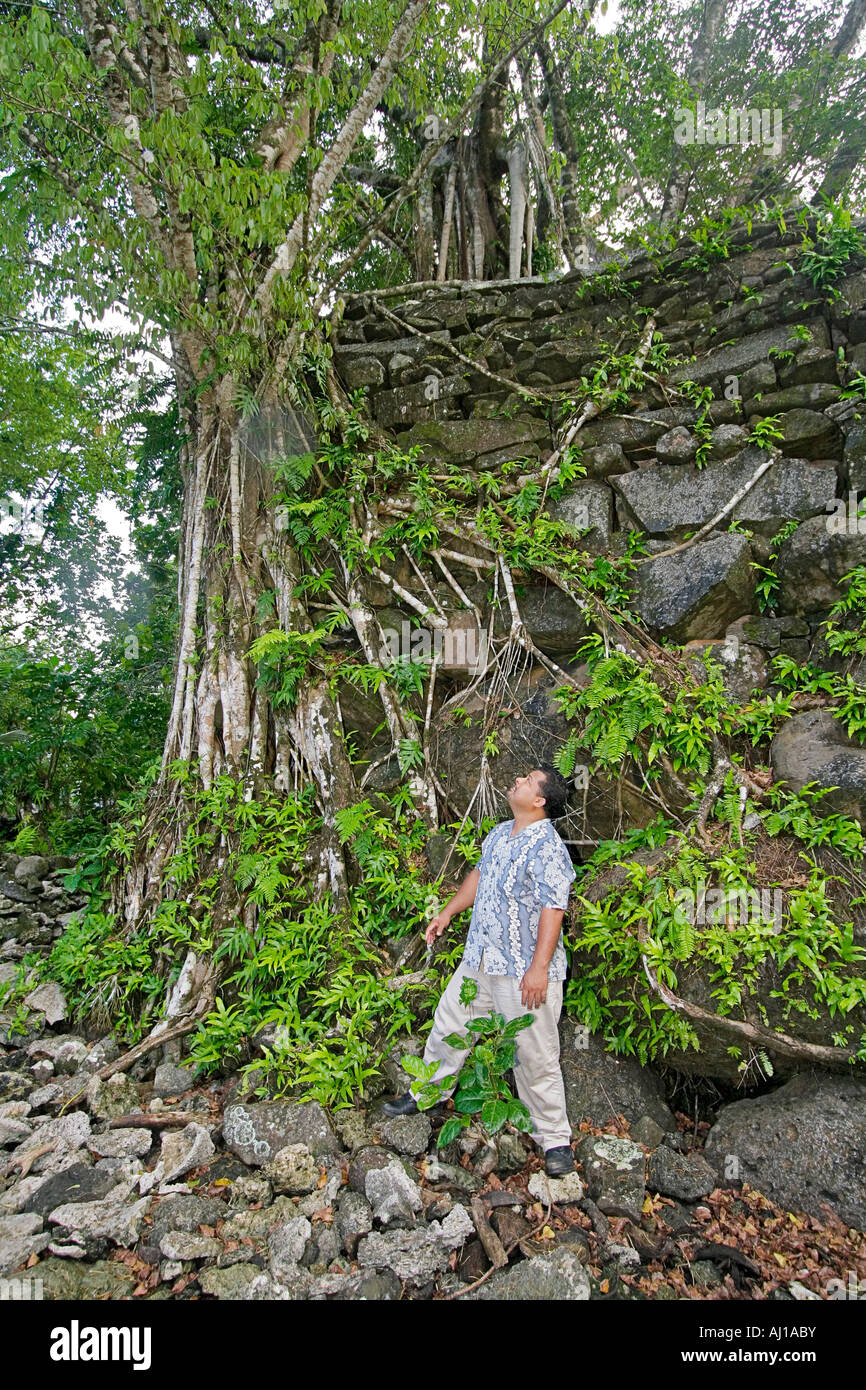 Kosrae man studies basalt walls and encroaching trees at Lelu Ruins ...