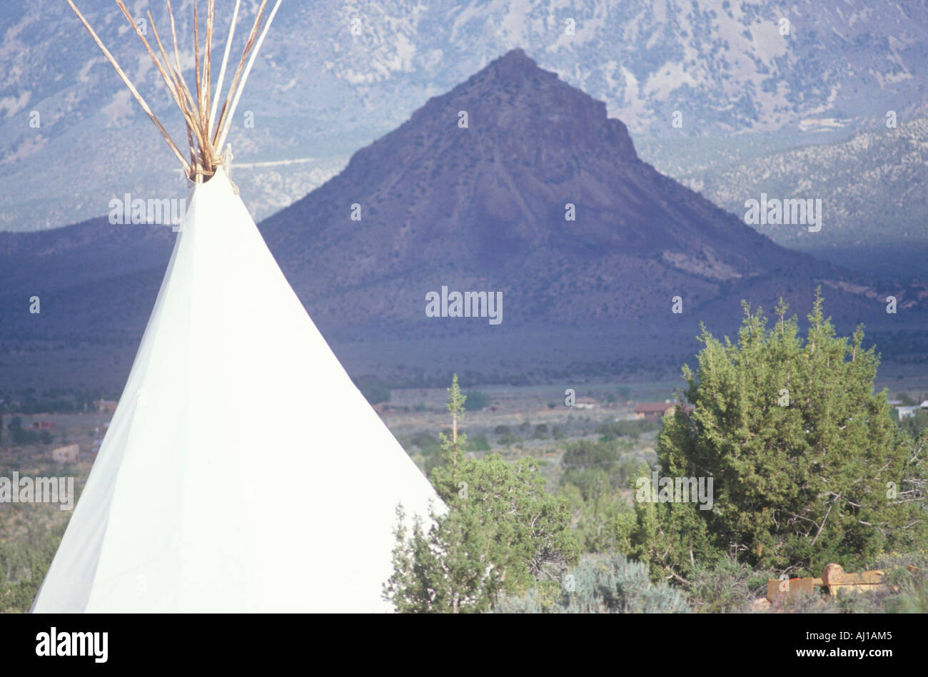 Native to southern states hi-res stock photography and images - Alamy