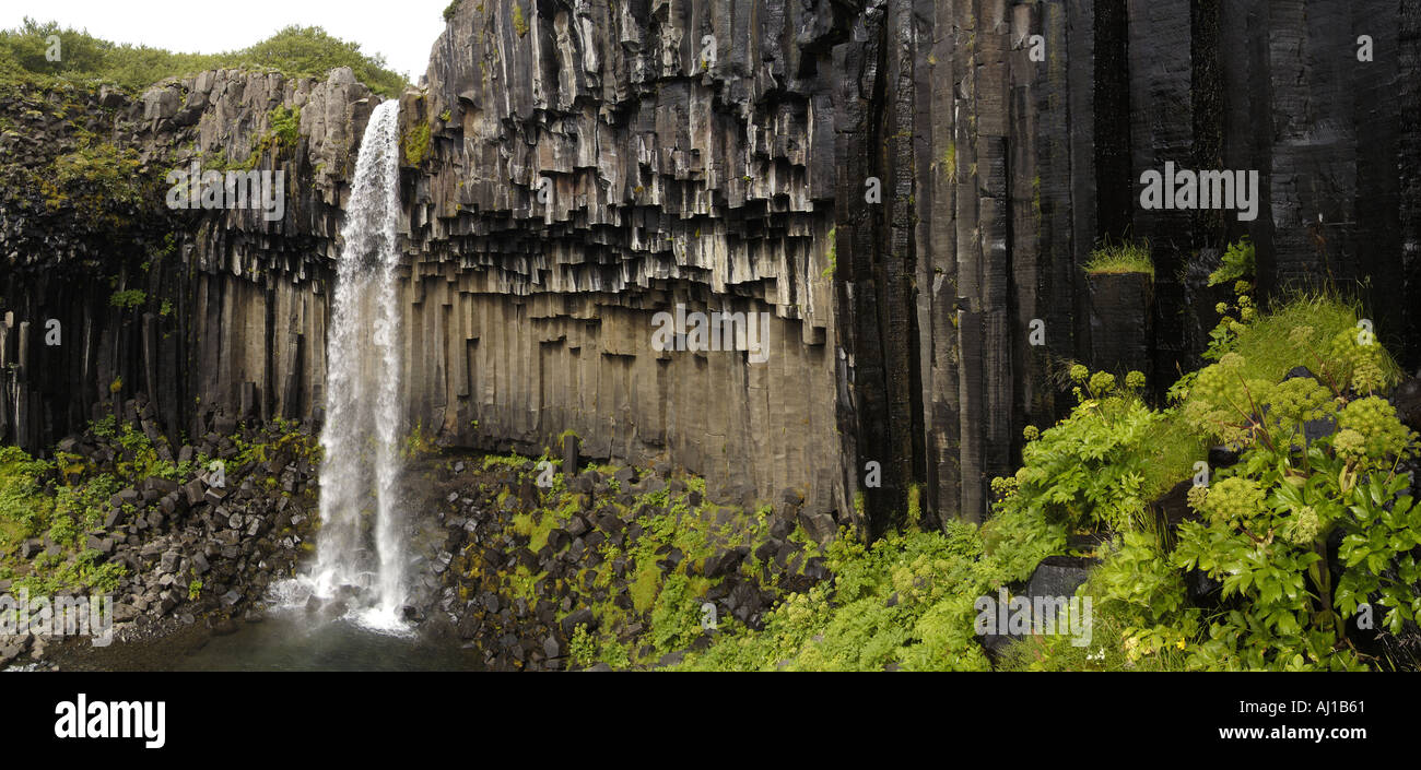 Basalt columns waterfall Svartifoss Skaftafell National Park Iceland ...