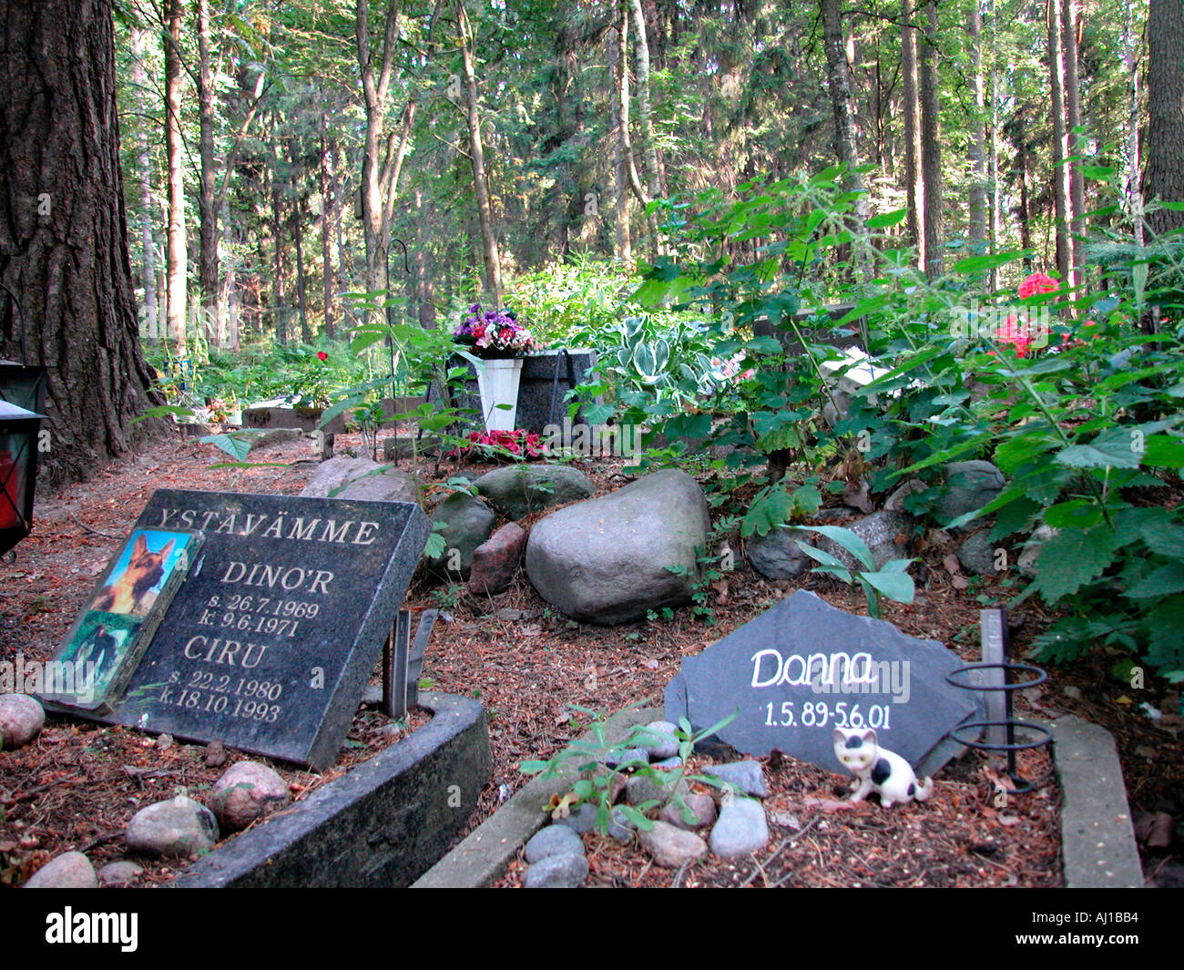 graves of dogs and cats in animal cemetery in Helsinki Stock Photo - Alamy