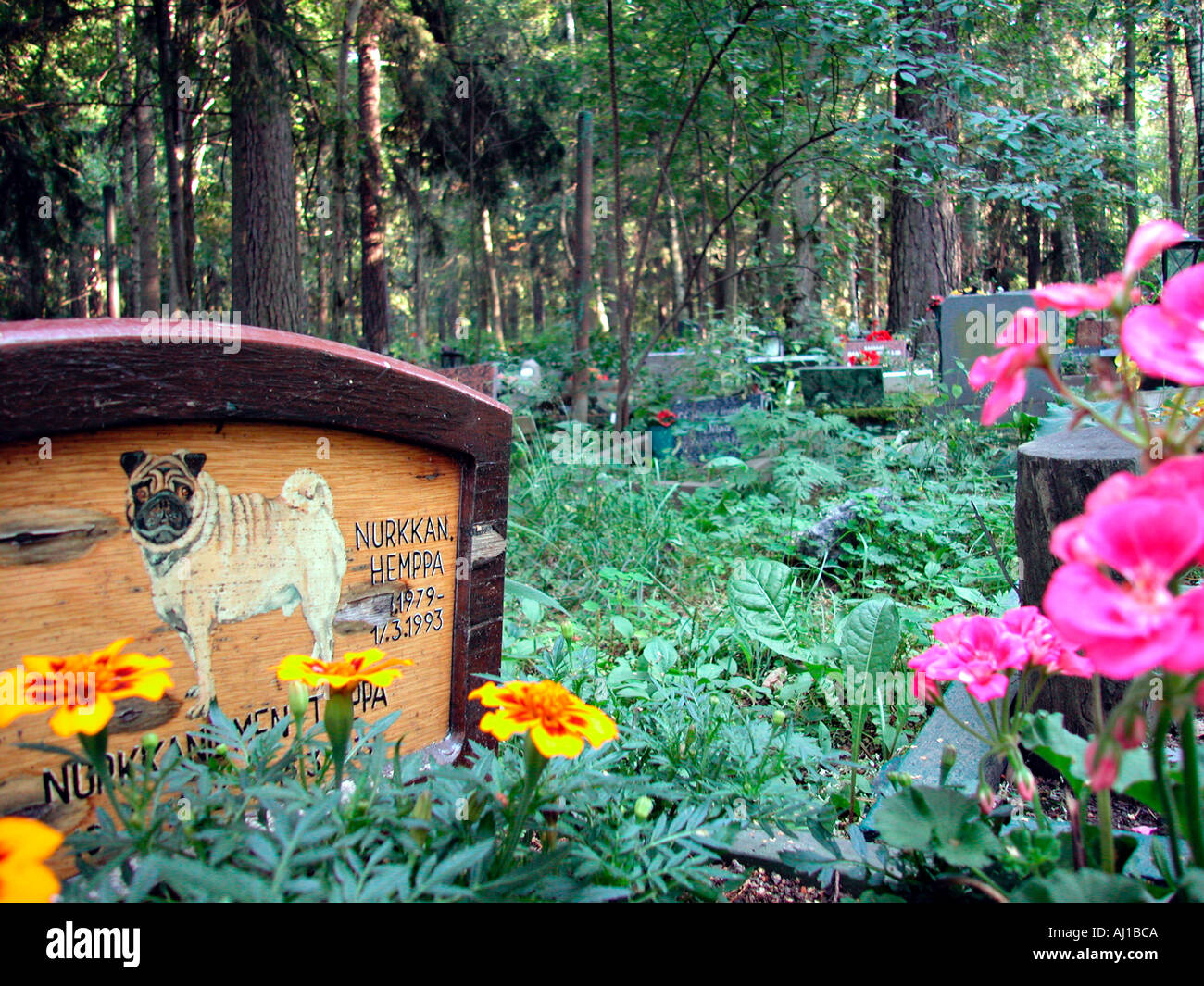 gravestones for animals in animal cemetery in Helsinki Stock Photo - Alamy