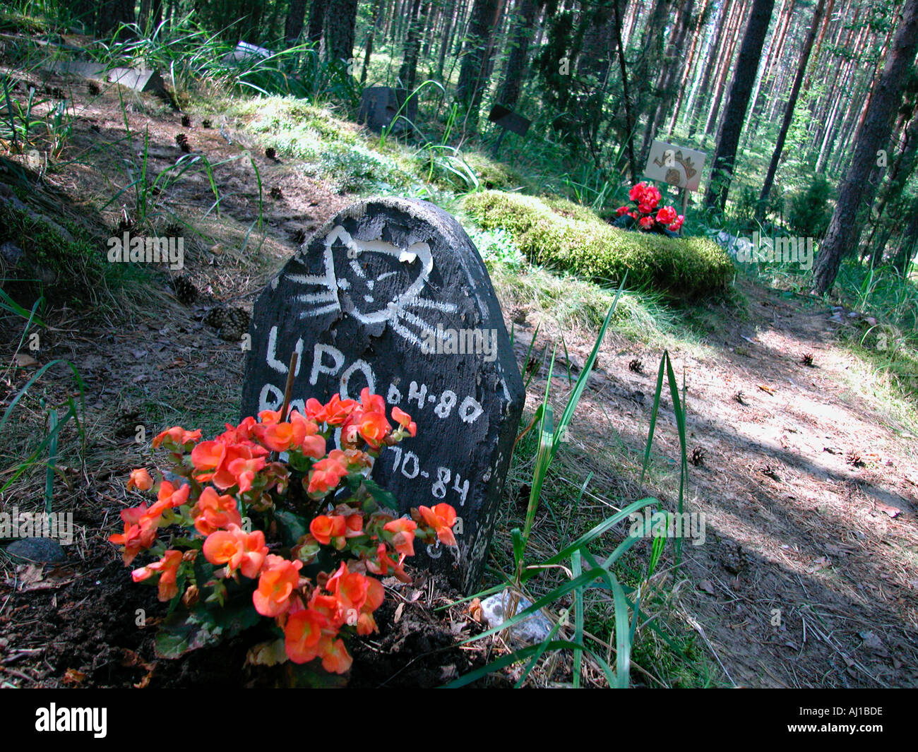 gravestones for animals in animal cemetery in the near of Heinola Stock ...