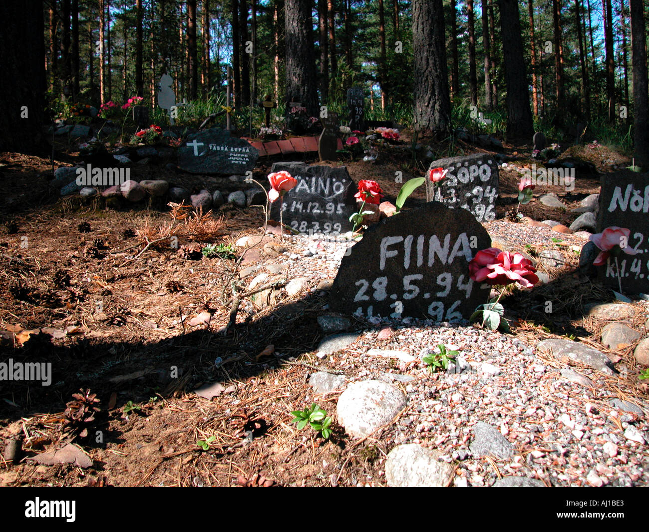 gravestones for animals in animal cemetery in the near of Heinola Stock ...