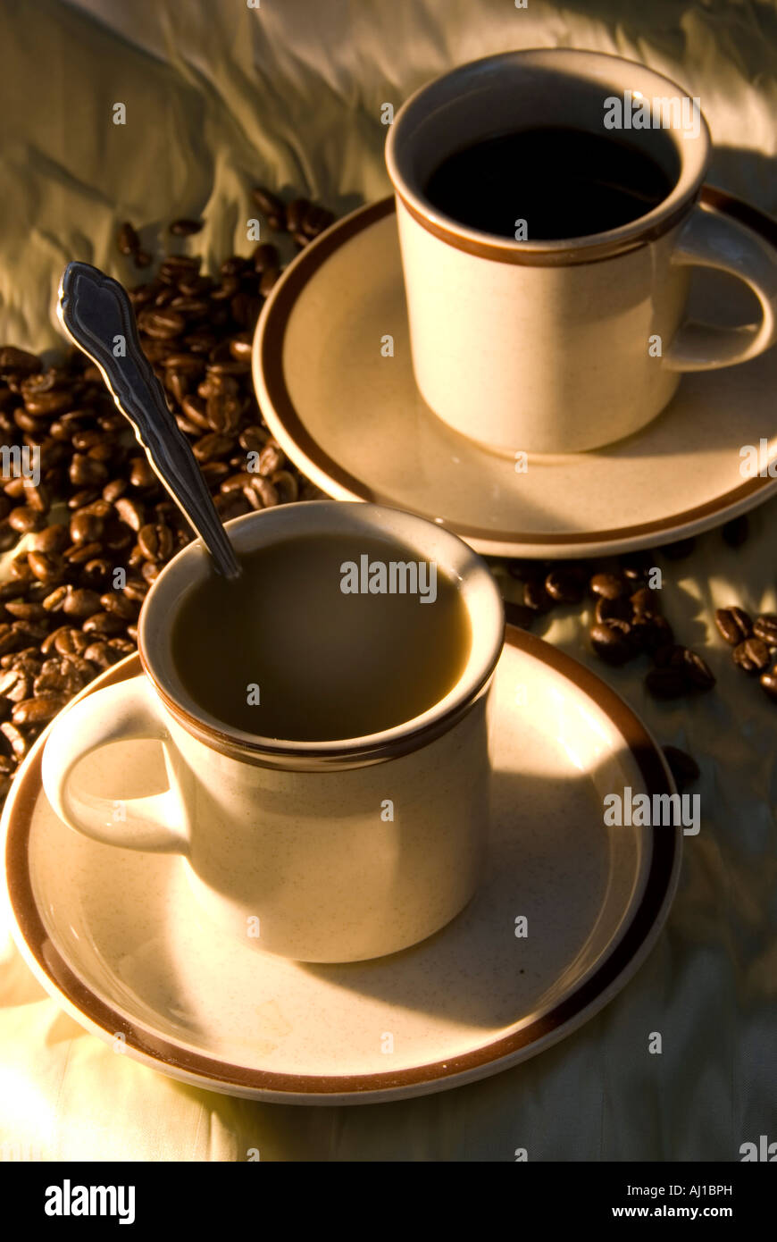 Sun shines through a kitchen window highlighting a coffee setting to ...