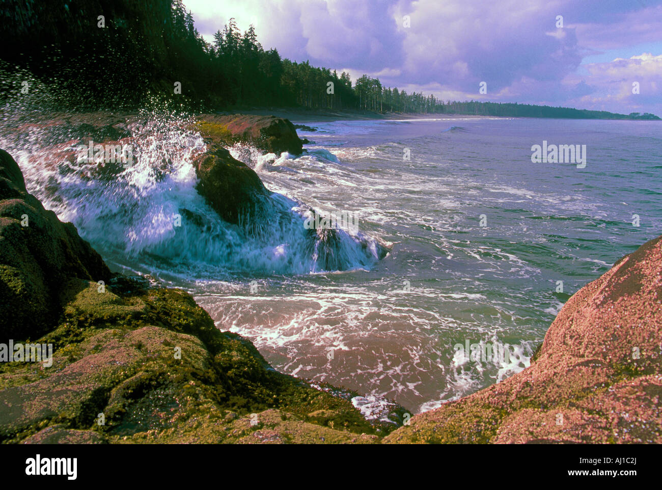 Haida Gwaii (Queen Charlotte Islands) BC, British Columbia, Canada ...