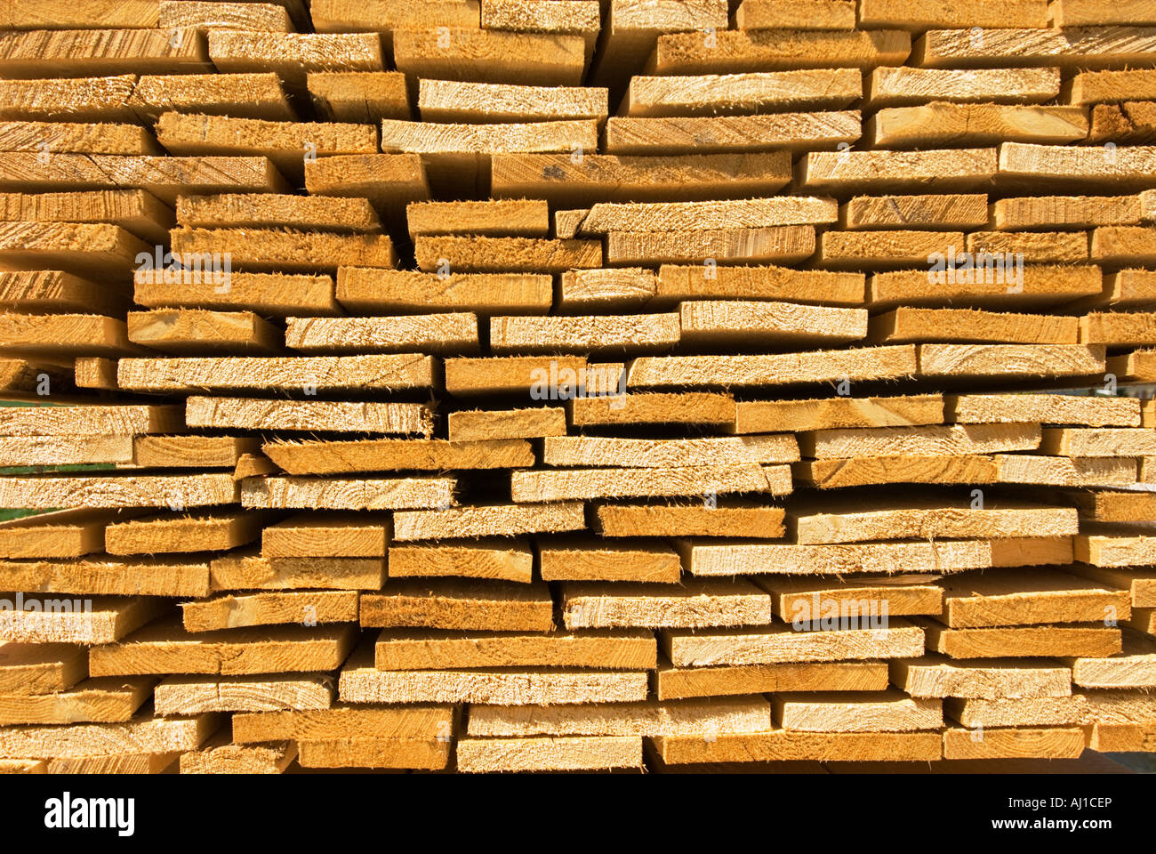 cut wood timber beam slab board plank shelf tree forest silviculture ...