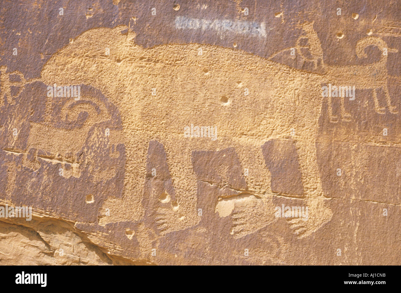 Petroglyph bear hi-res stock photography and images - Alamy