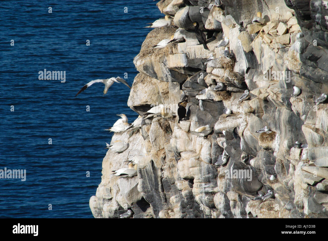 Volcanic funnel hi-res stock photography and images - Alamy