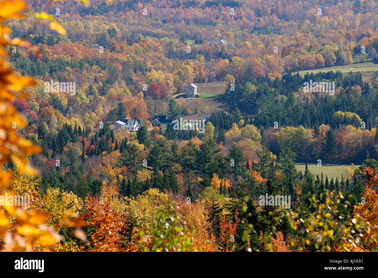 Vermont Fall Foliage Stock Photo - Alamy