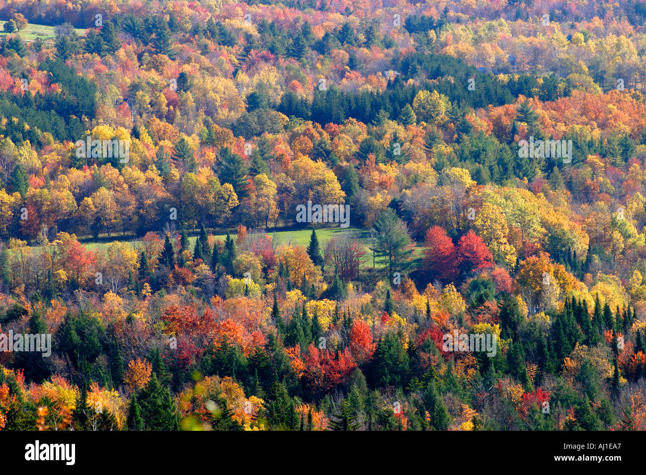 Vermont Fall Foliage Stock Photo - Alamy