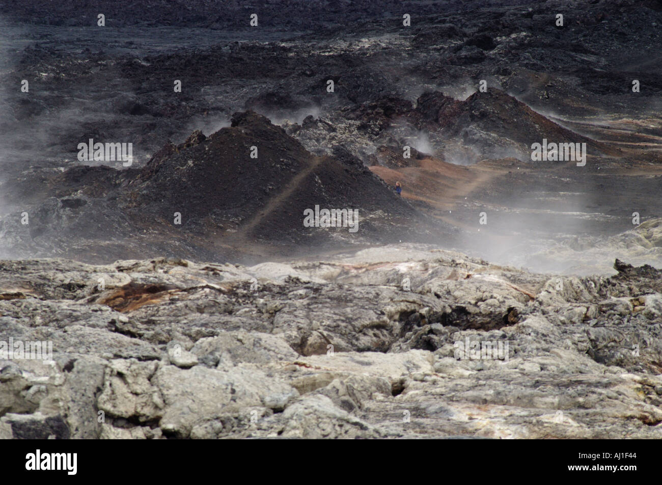 the new lavafield of the eruptions around 1980 the volcanic field of ...