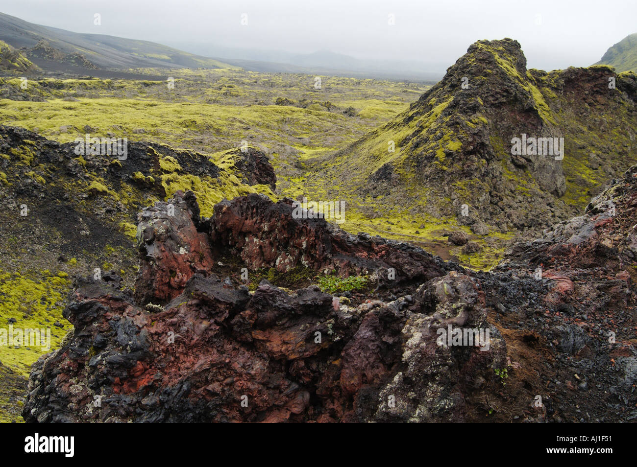 volcanic formation at the mountain Laki Iceland Stock Photo - Alamy