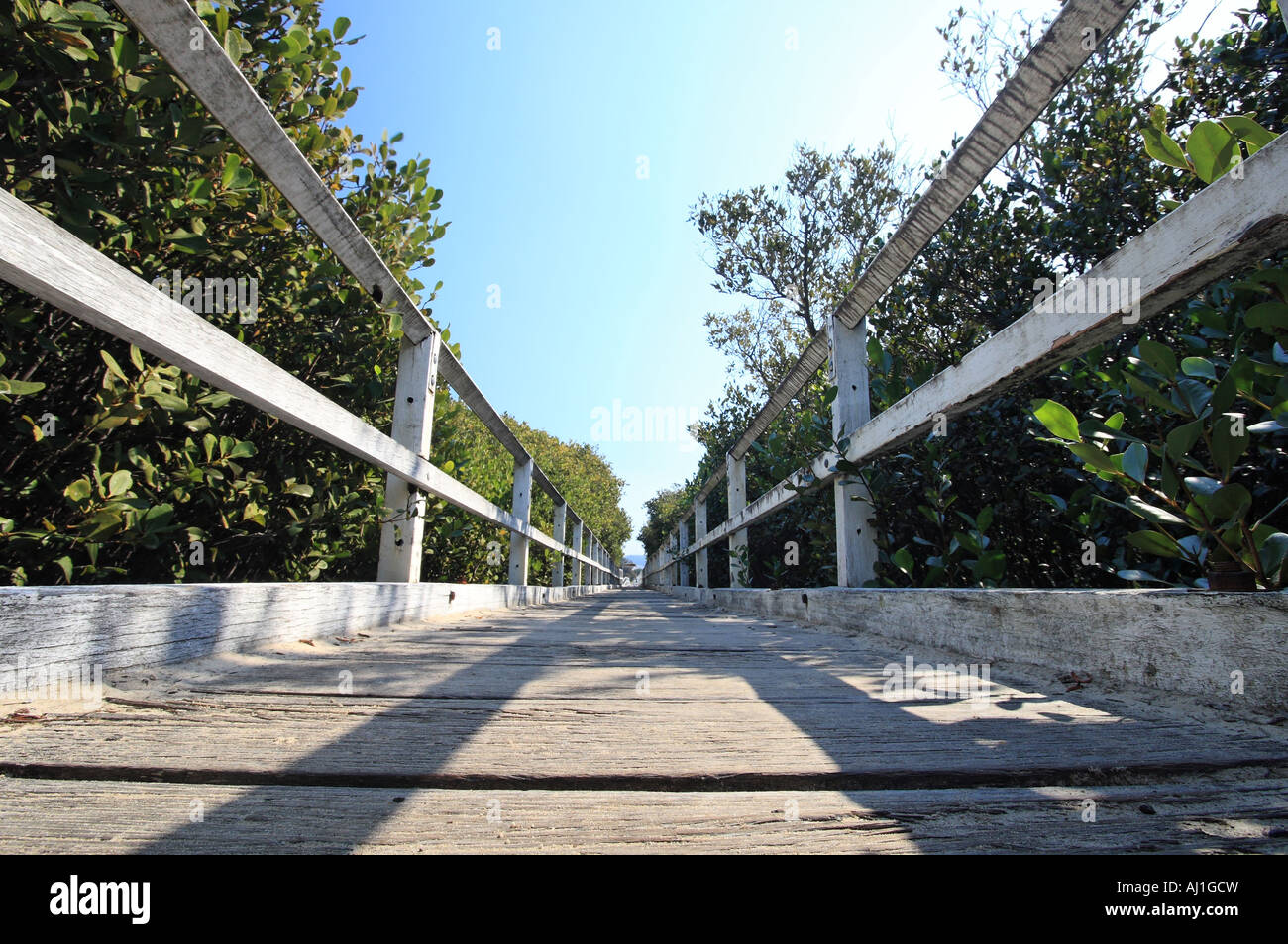wooden bridge across a river Stock Photo - Alamy