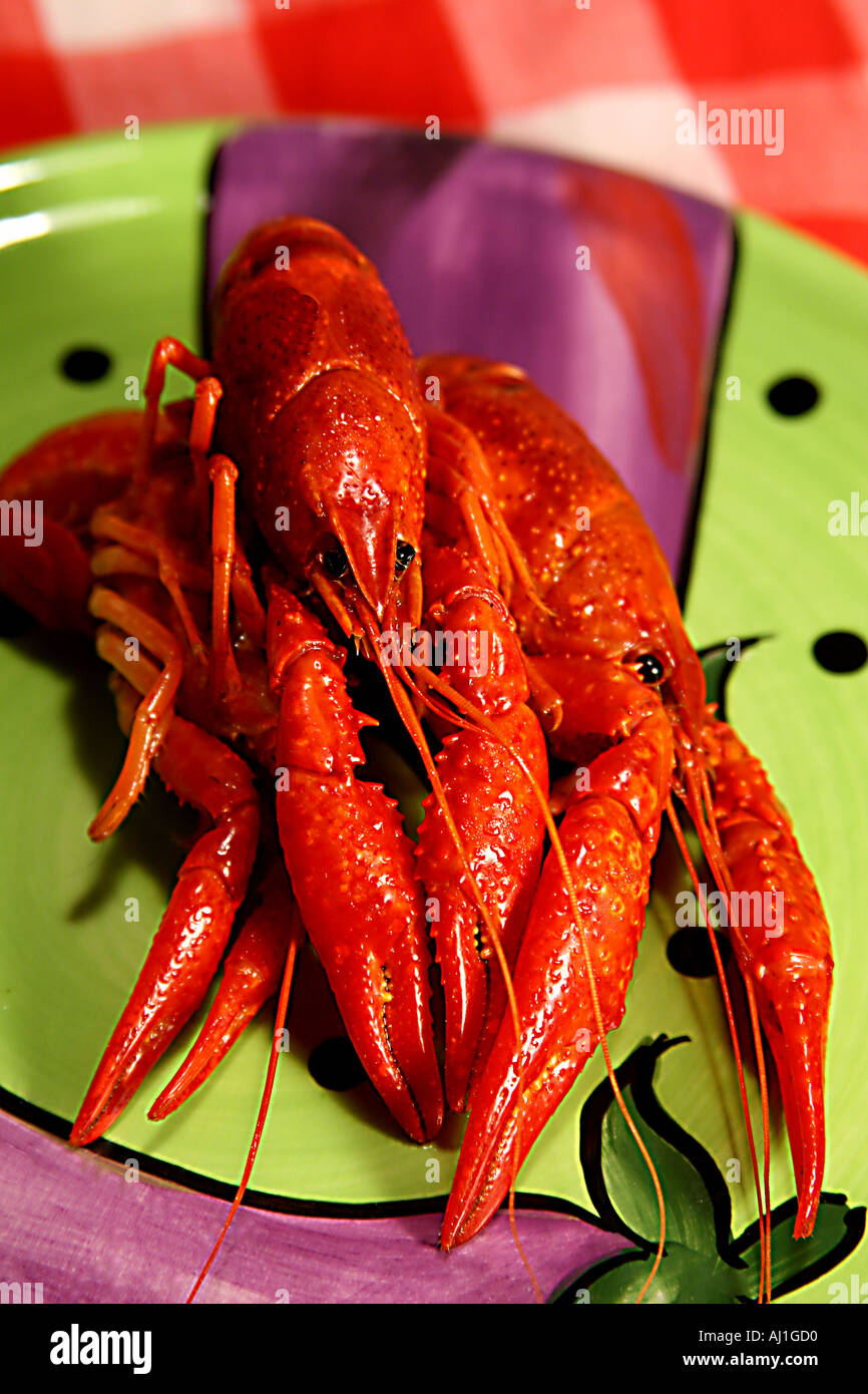 Several Crawfish on Decorative Plate Stock Photo - Alamy