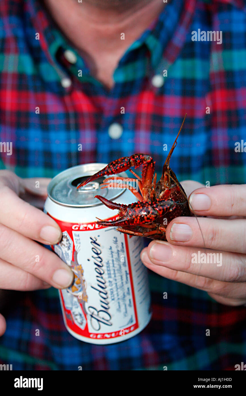 Man Holding A Beer and A Crawfish Traditional Cultural Food and Drink ...