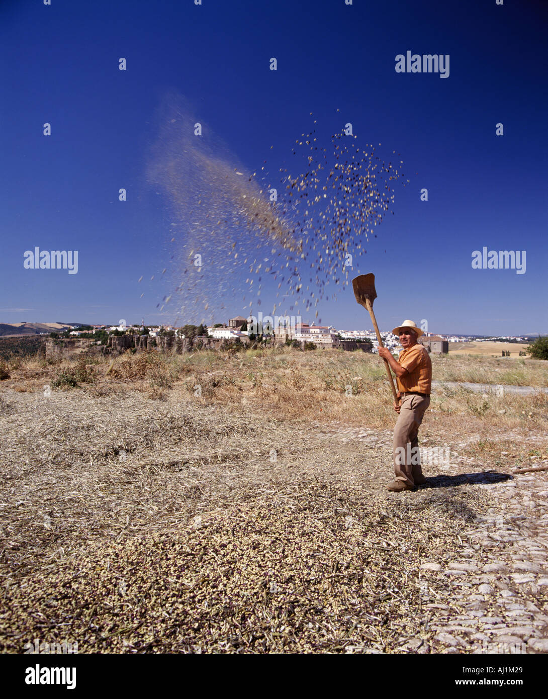Wind winnowing hi-res stock photography and images - Alamy
