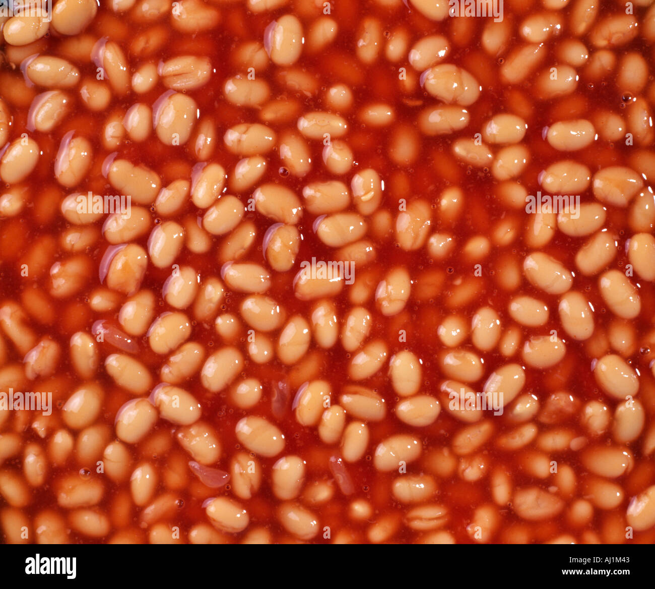 Baked beans in tomato sauce Stock Photo - Alamy