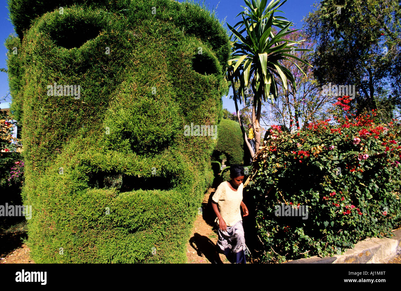 Ethiopia, Gorgora, garden of a hotel on the banks of the lake Tana ...