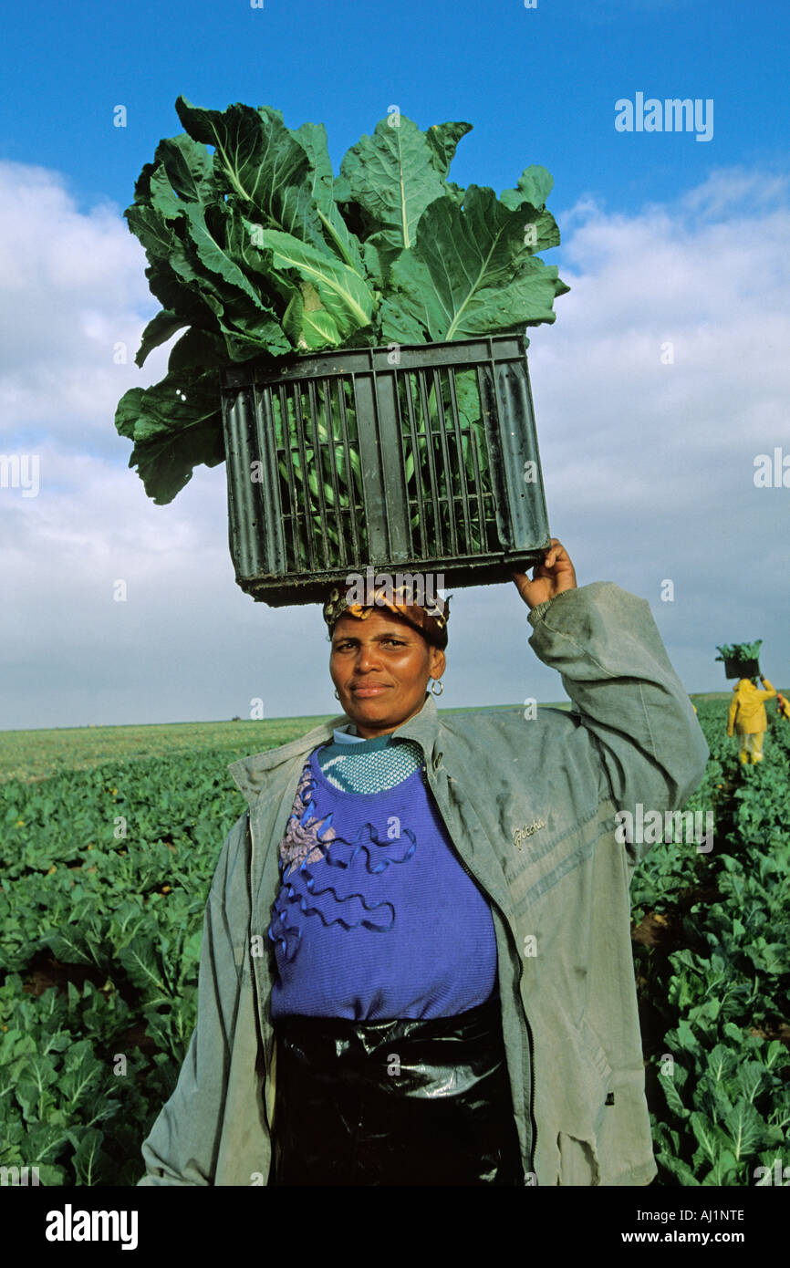 Farm Worker High Resolution Stock Photography and Images - Alamy