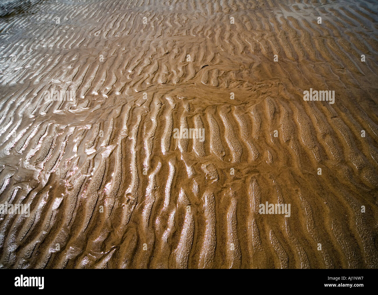 Rivulets in sand hi-res stock photography and images - Alamy