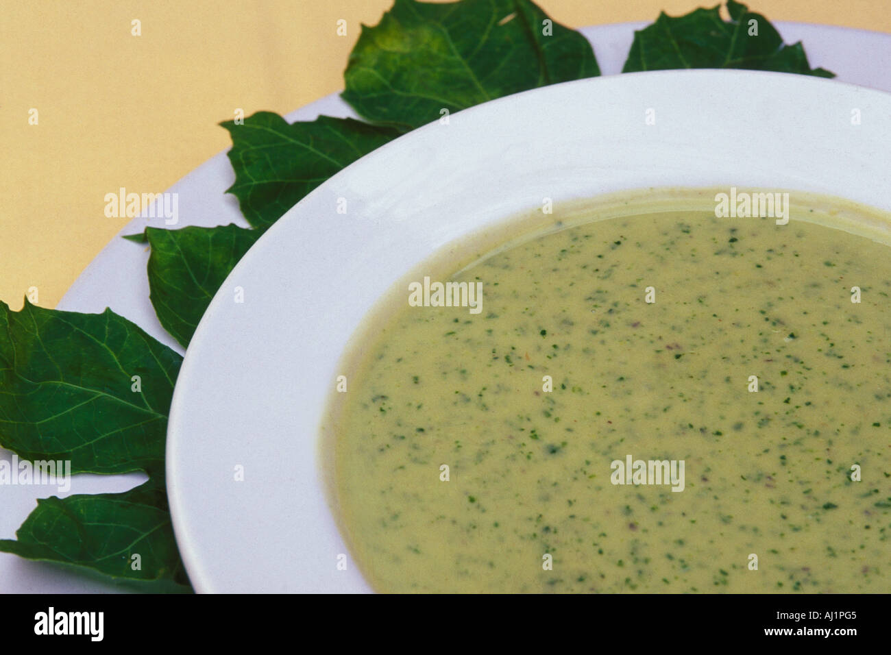 Chaya leaf High Resolution Stock Photography and Images - Alamy