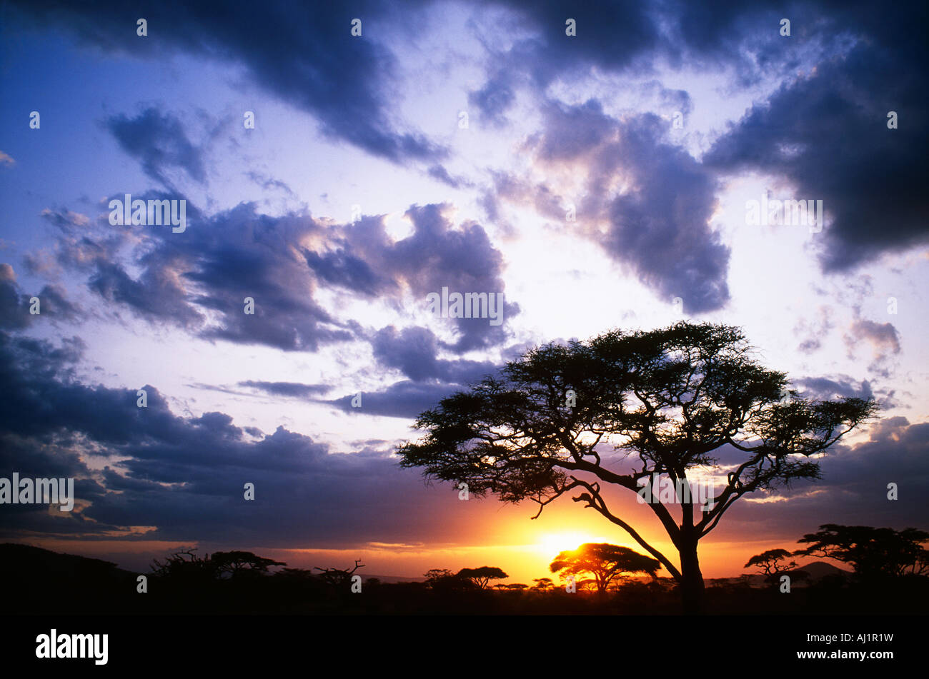Sunset are magical hi-res stock photography and images - Alamy