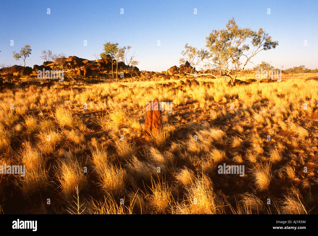 Out back nothern territory Australia Stock Photo - Alamy