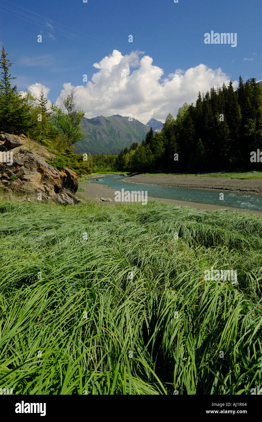 Lush green grass meadow and mountains of Alaska Stock Photo - Alamy