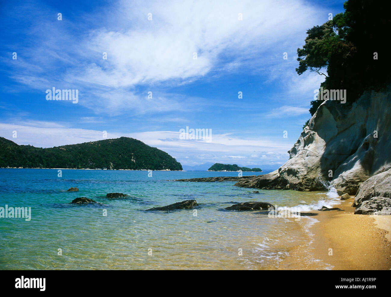 Tropical beach scene Abel Tasman National Park South Island New Zealand Stock Photo - Alamy