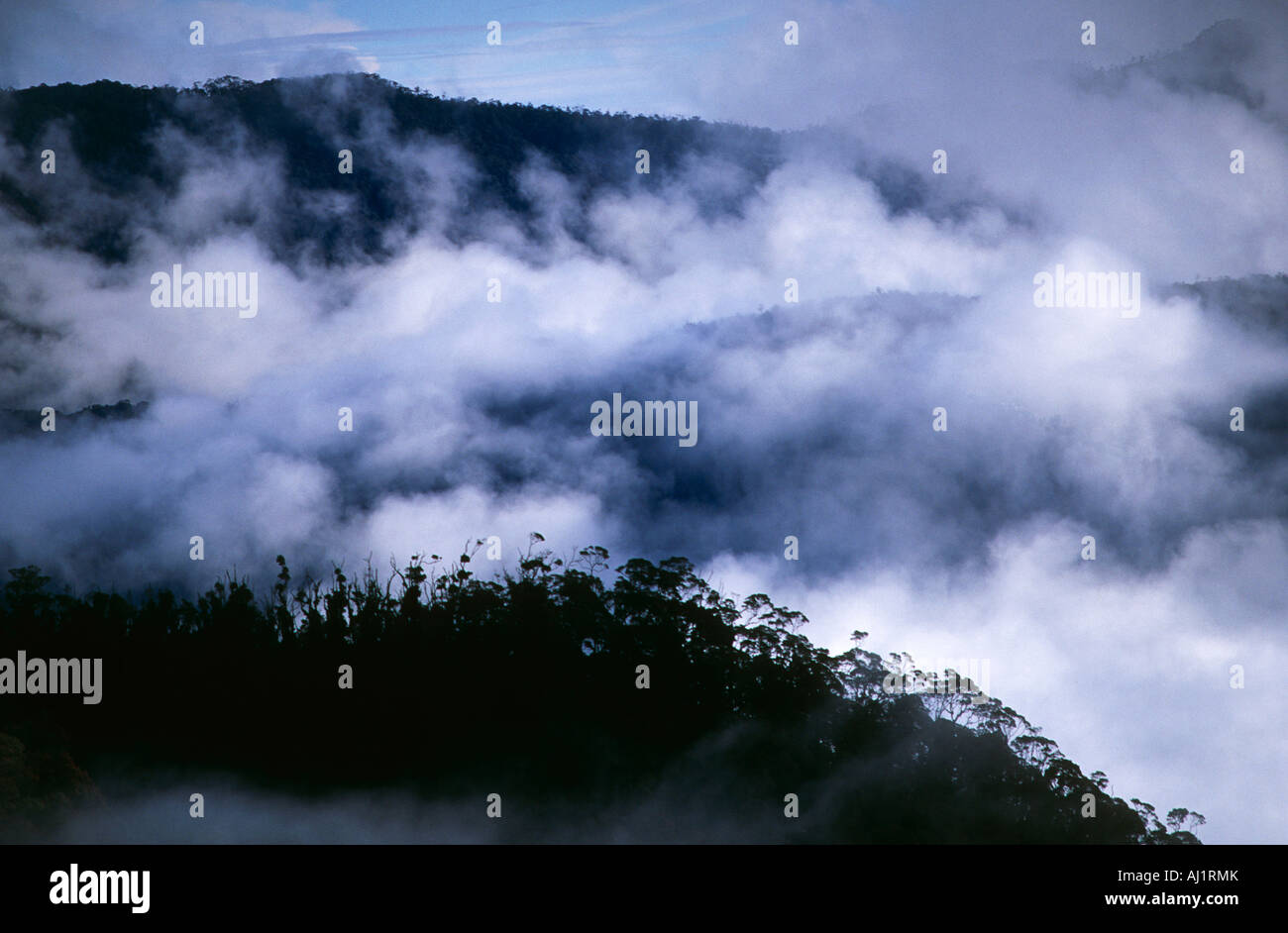 Rain forest and clouds in the mountains of Irian Jaya. Indonesia Stock ...