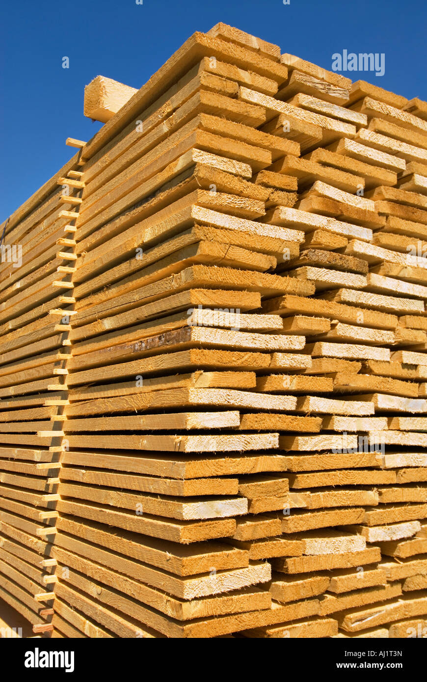 cut wood timber beam slab board plank shelf tree forest silviculture ...